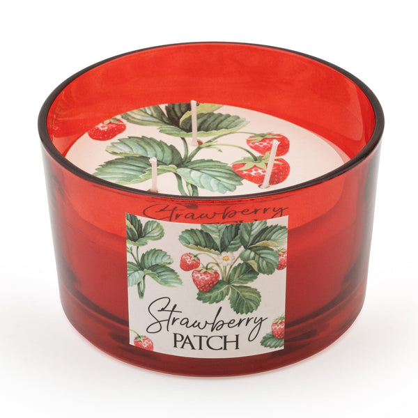 3 Wick Candle With Alpine Wild Strawberry Scent 6PK - Candlelight Home