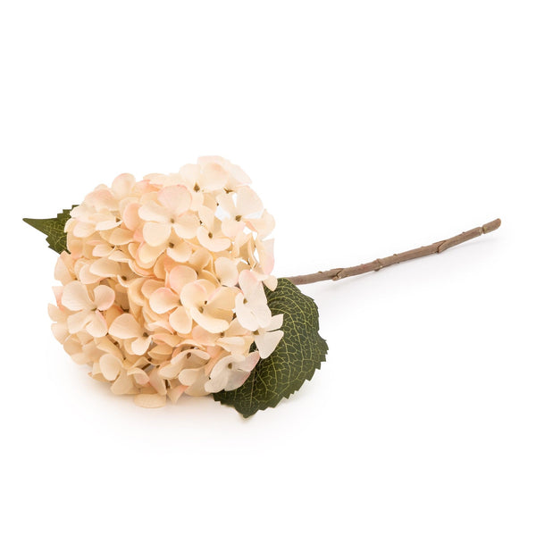 Single Hydrangea Two Tone Cream Faux Stem 46cm 10PK - Candlelight Home